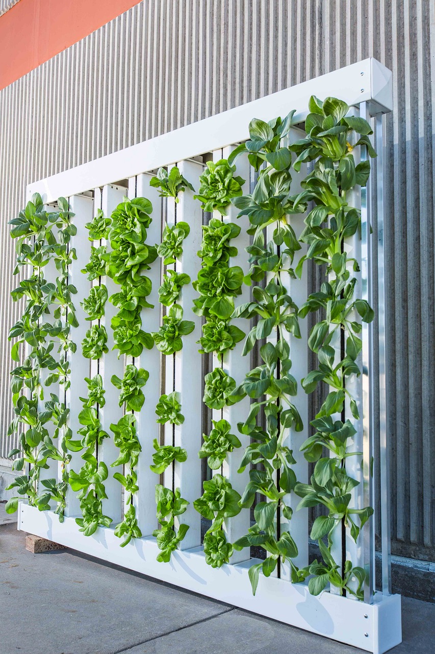 Aeroponics System – Greenoponic